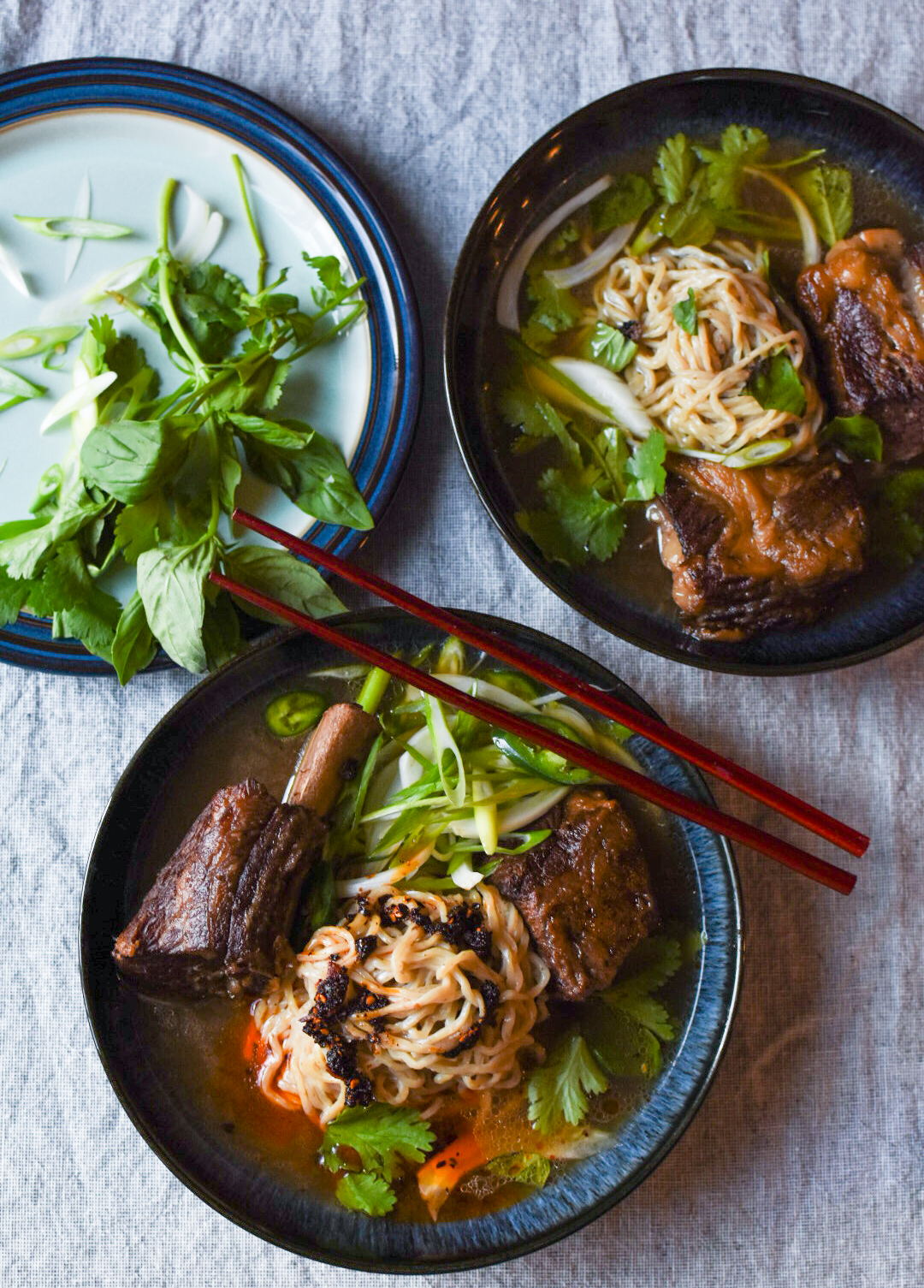 Short Rib Noodle Soup – Down to a Simmer